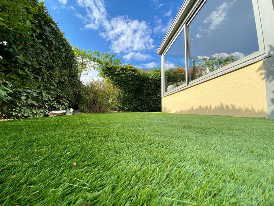 Engazonnement - AGAPANTHE Paysage